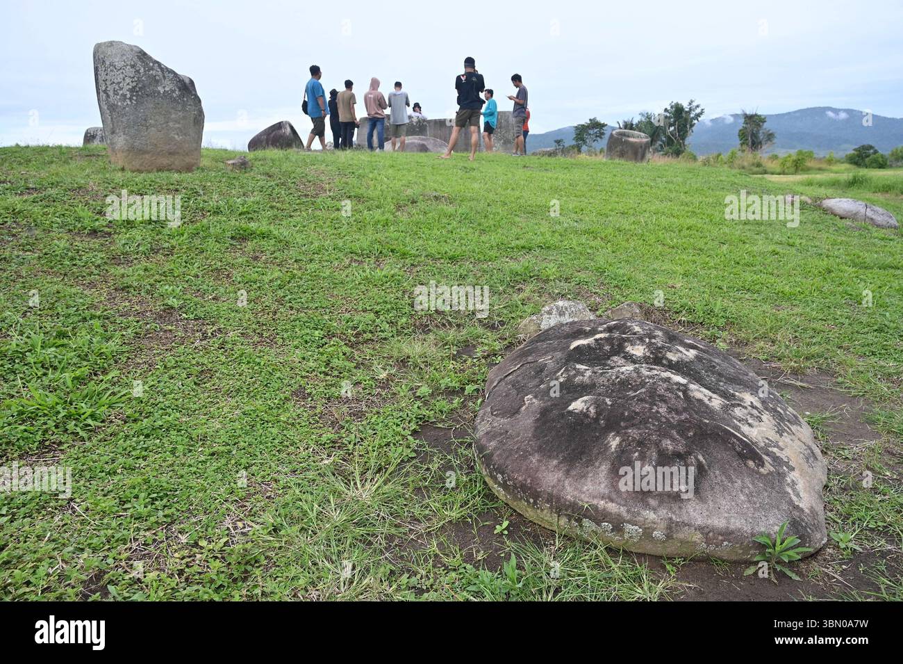 Poso, Indonesia. 27th June, 2025. Visitors observe Kalamba, or giant ...