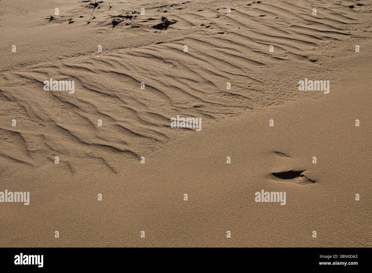 Texture of sand and earth, sand dunes and mountains Stock Photo - Alamy