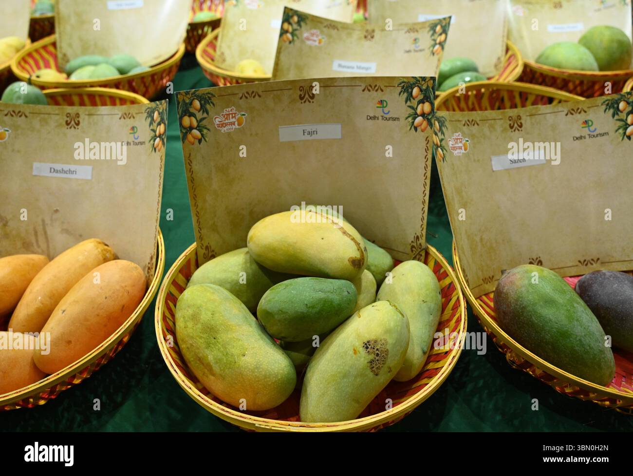 NEW DELHI, INDIA - JUNE 29: A view of variety of Mango ' Fajri ' during ...