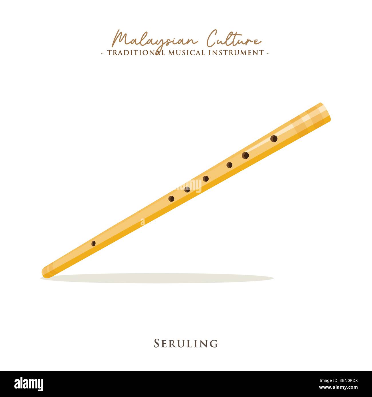 Vector illustration on Malaysian traditional musical instrument ...