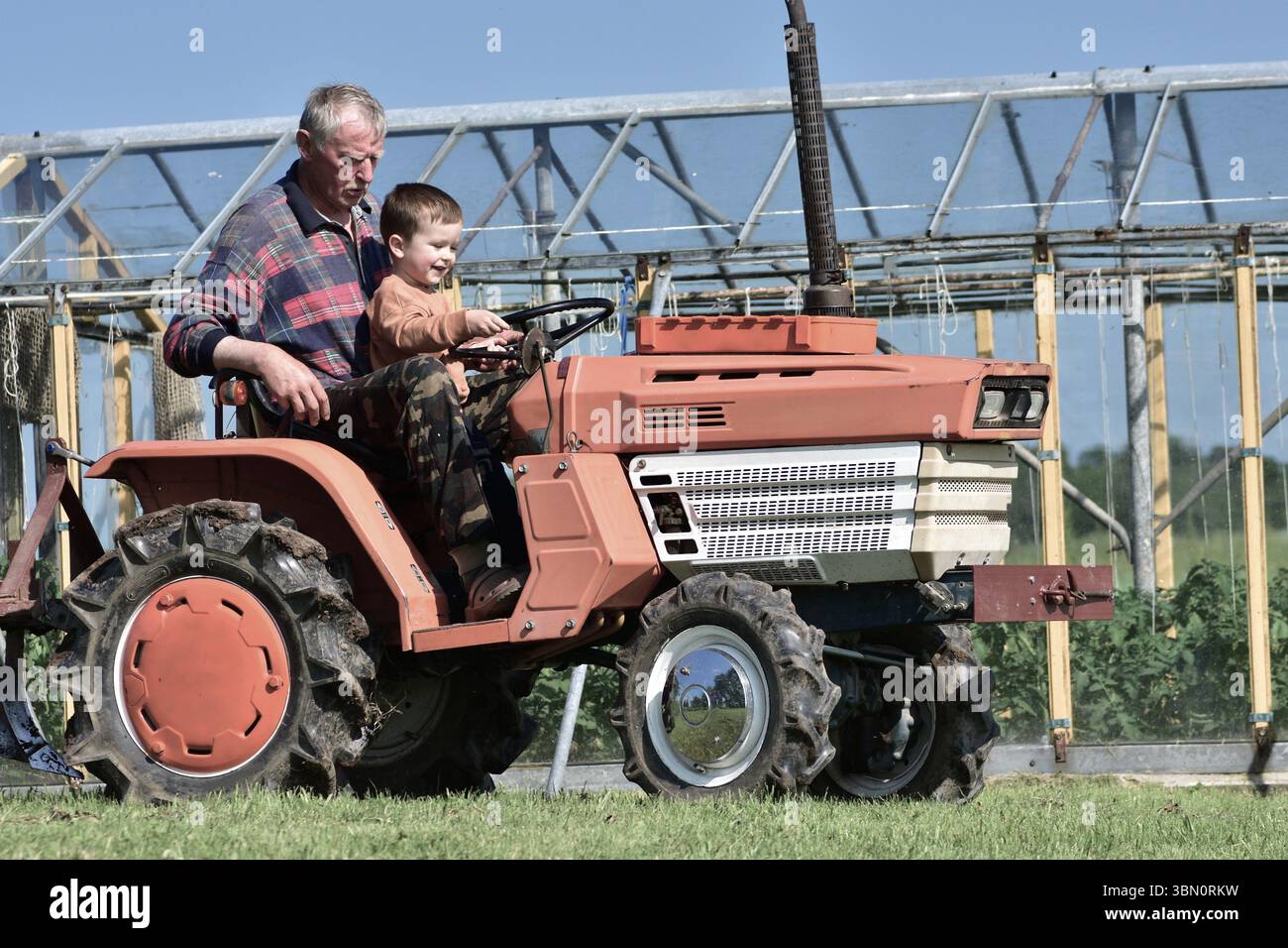 Grandfather and grandson riding a small orange tractor together in the ...