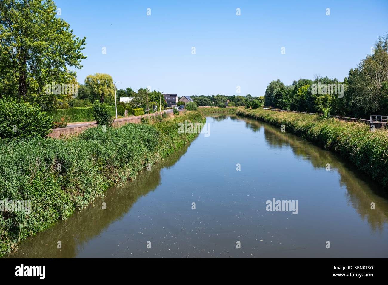 The River Dyle and green surrounding swamp in Mechelen, Antwerp ...