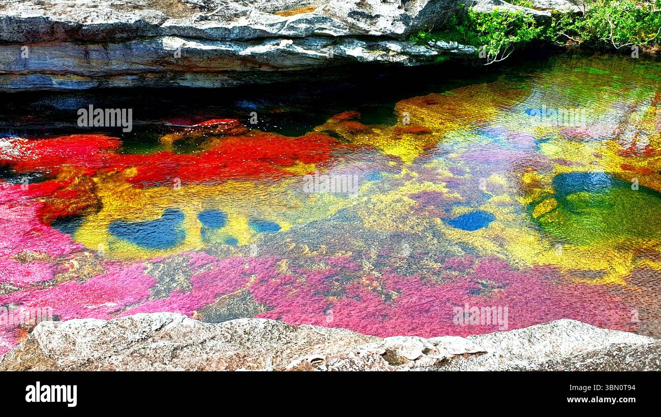 The most picturesque multi colored river in the world Caño Cristales in ...