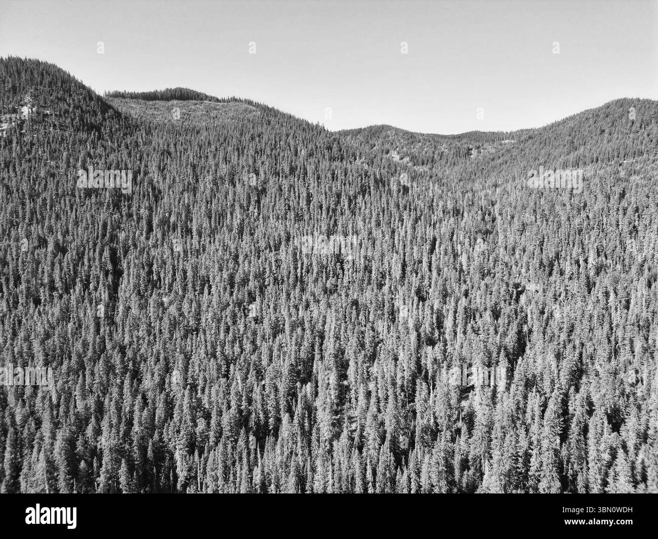 Landscape of Cooper lake mountain. Nature landscape. Forest of ...