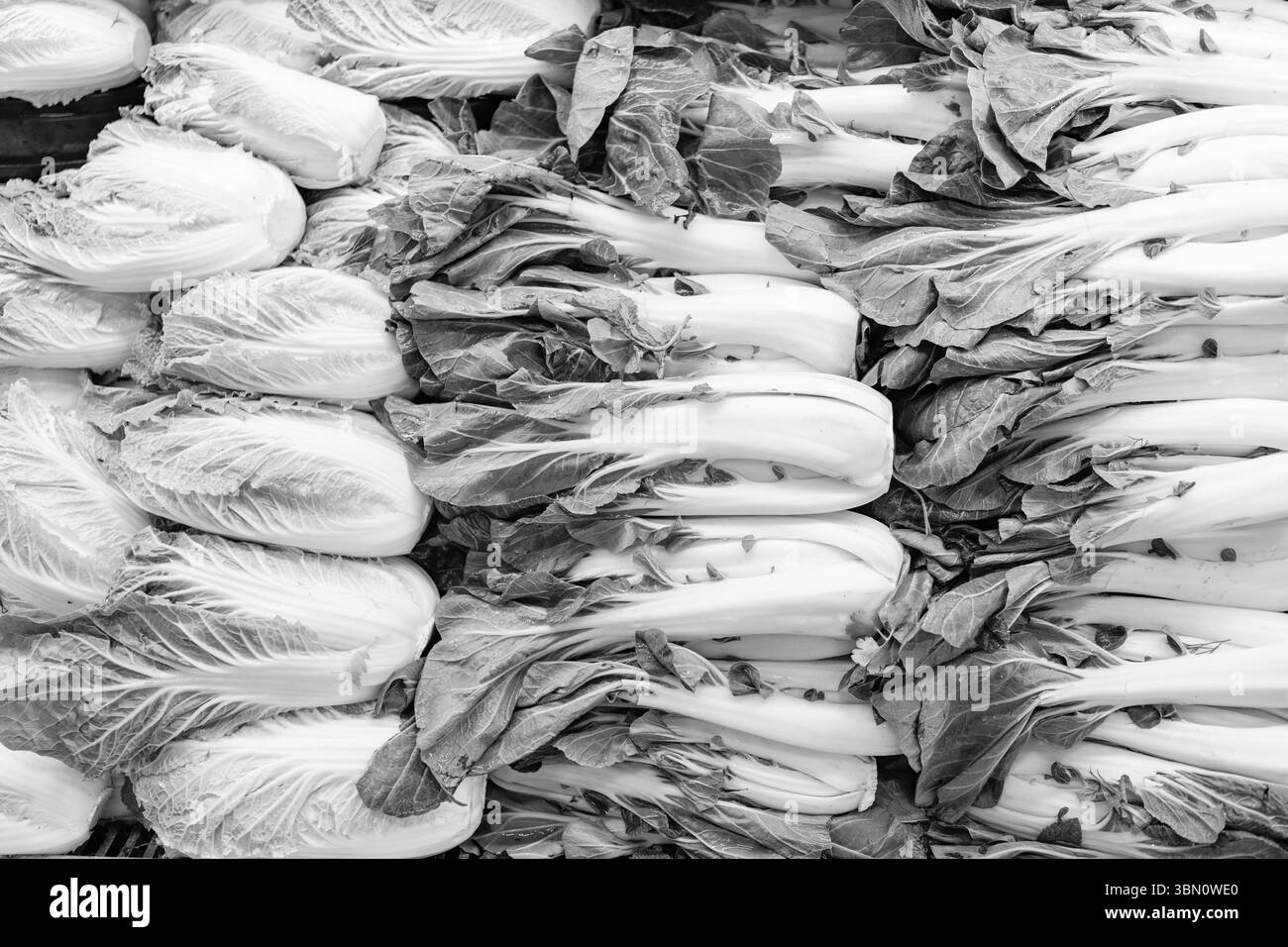 Pok choi bok chinese Black and White Stock Photos & Images - Alamy