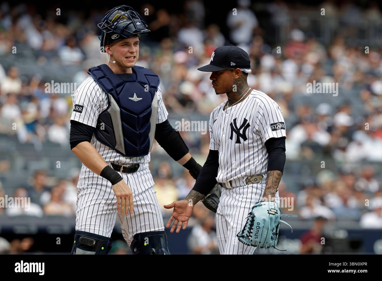 New York Yankees first baseman Ben Rice, left, and Marcus Stroman react ...
