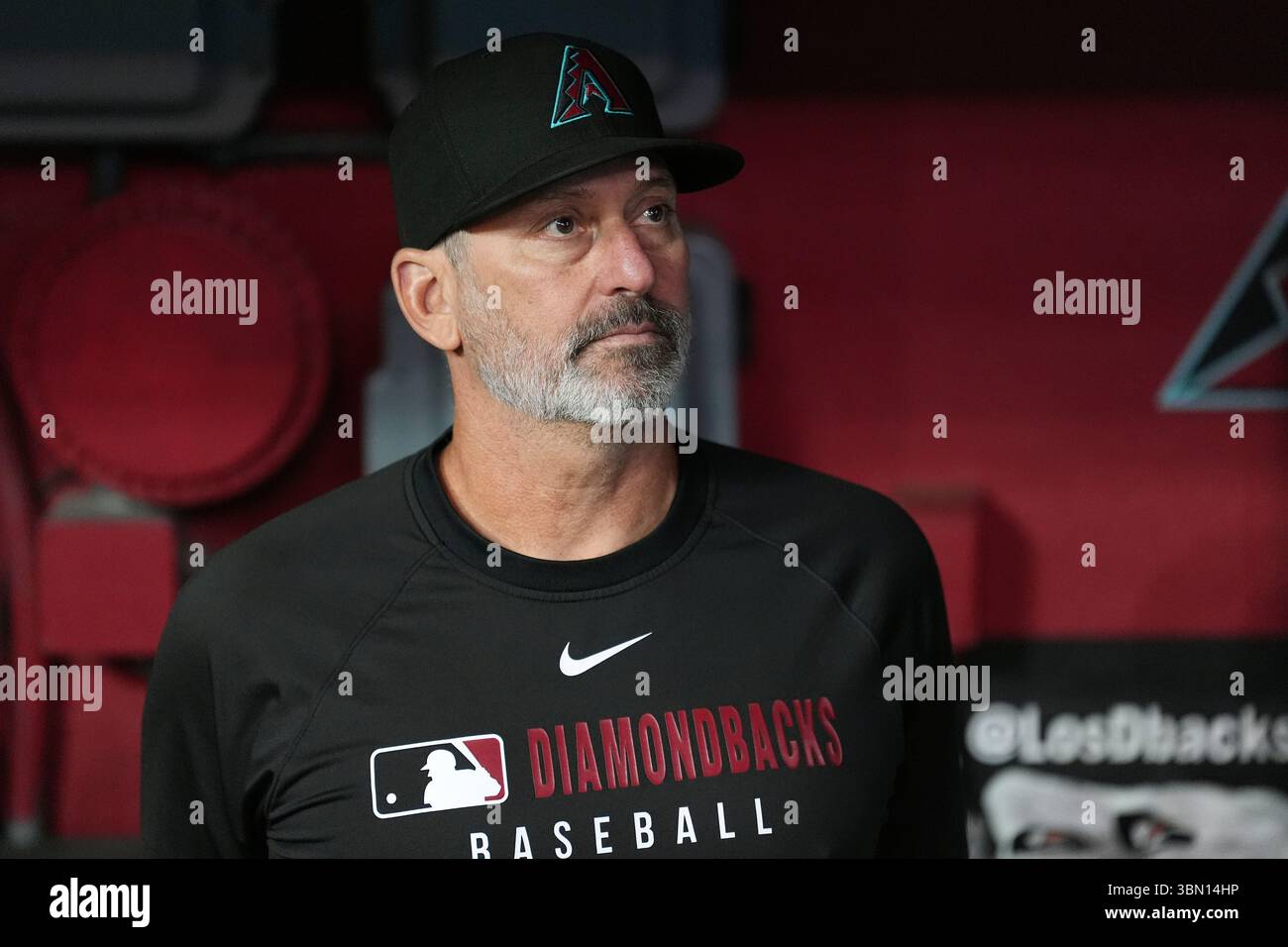 Arizona Diamondbacks manager Torey Lovullo pauses in the dugout prior ...