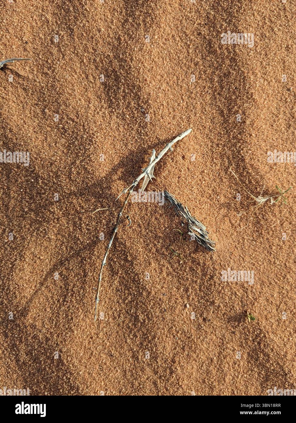 Orange color sand texture pattern background. Wadi Rum desert, Jordan ...