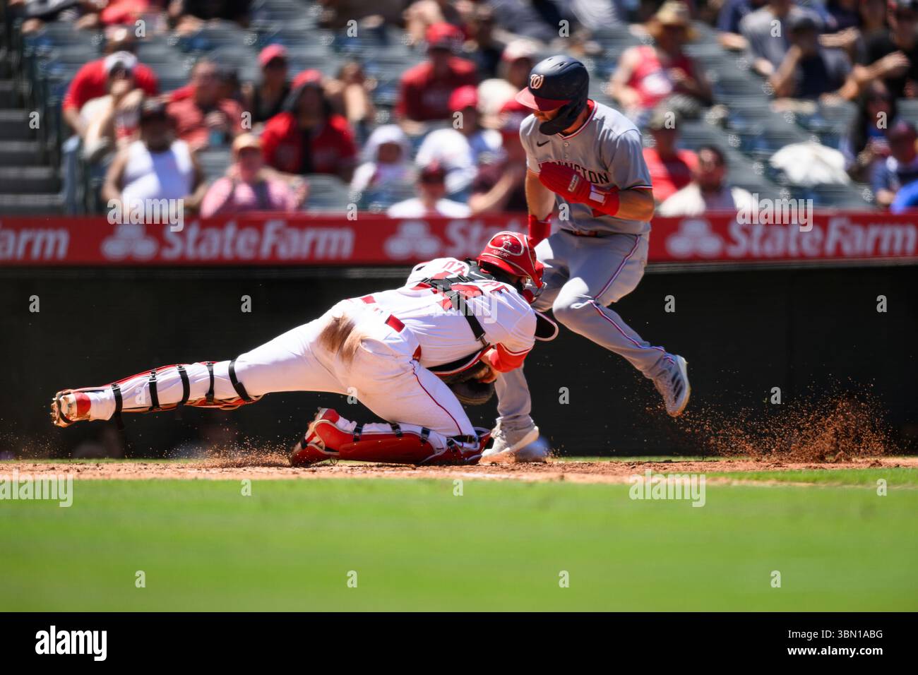 Los Angeles Angels catcher Logan O'Hoppe tags out Washington Nationals ...