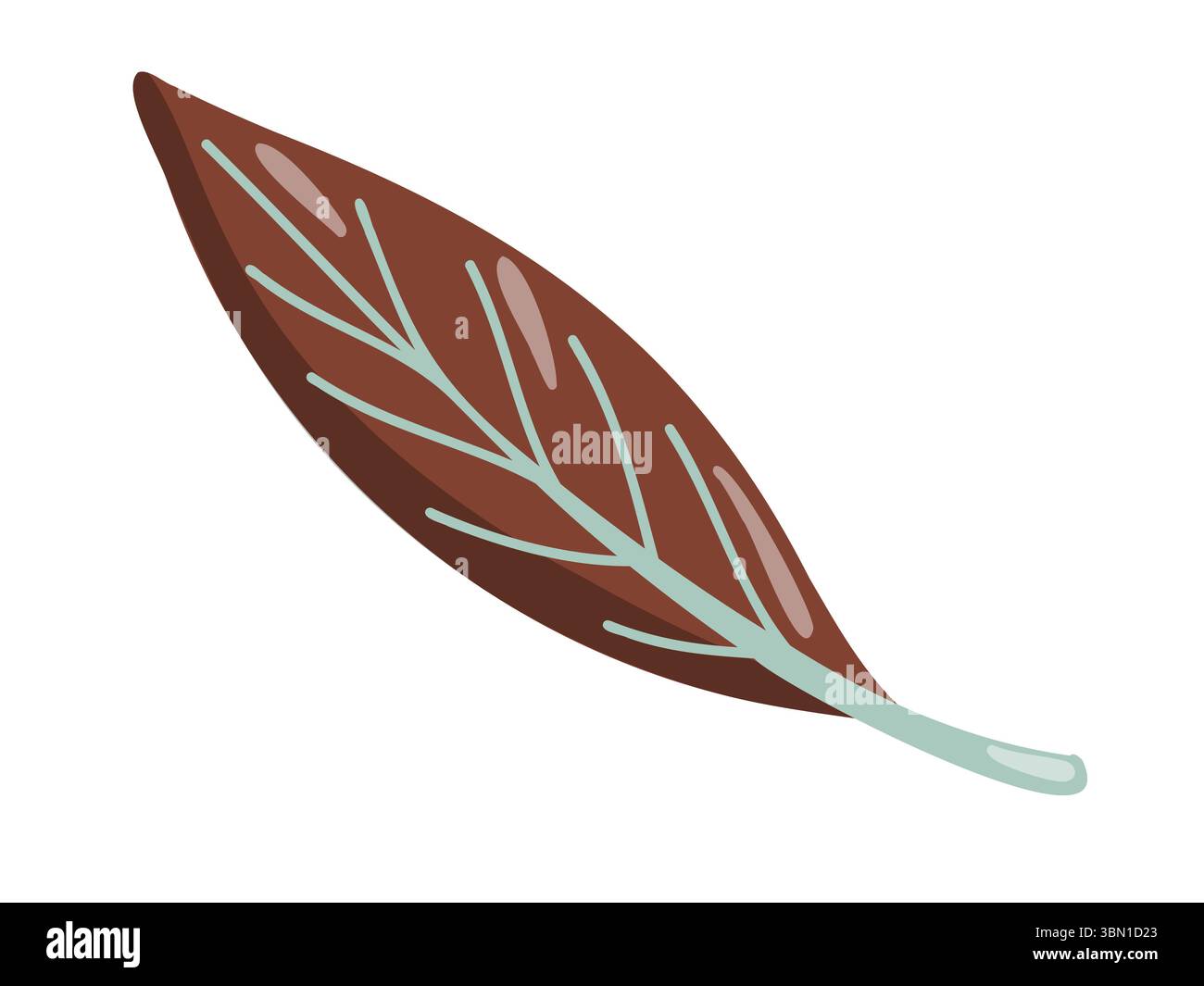 Leaf veins highlights Stock Vector Images - Alamy