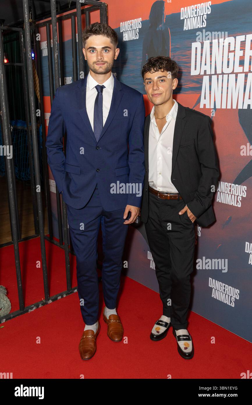 Celebs and guests attend a gala screening of horror movie Dangerous ...