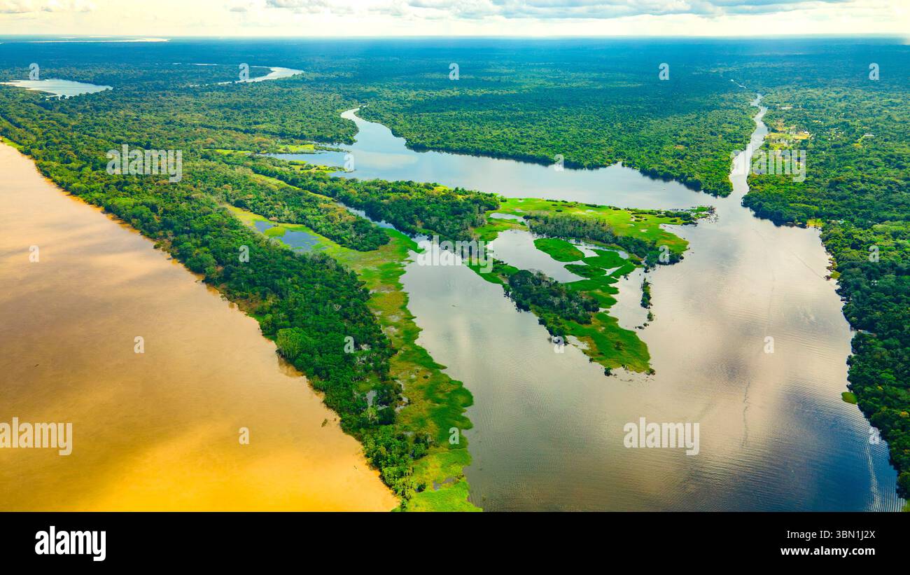 Stunning aerial view of the Amazon rainforest in Leticia, Colombia ...