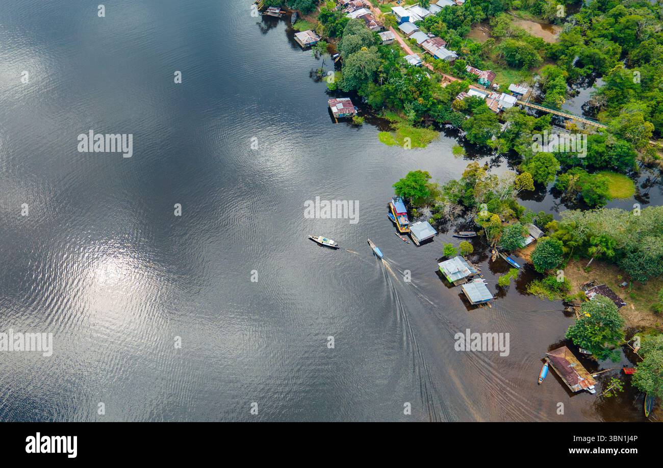 Lush amazon rainforest river winding hi-res stock photography and images - Alamy
