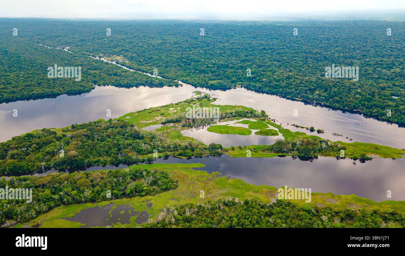 Stunning aerial view of the Amazon rainforest in Leticia, Colombia ...