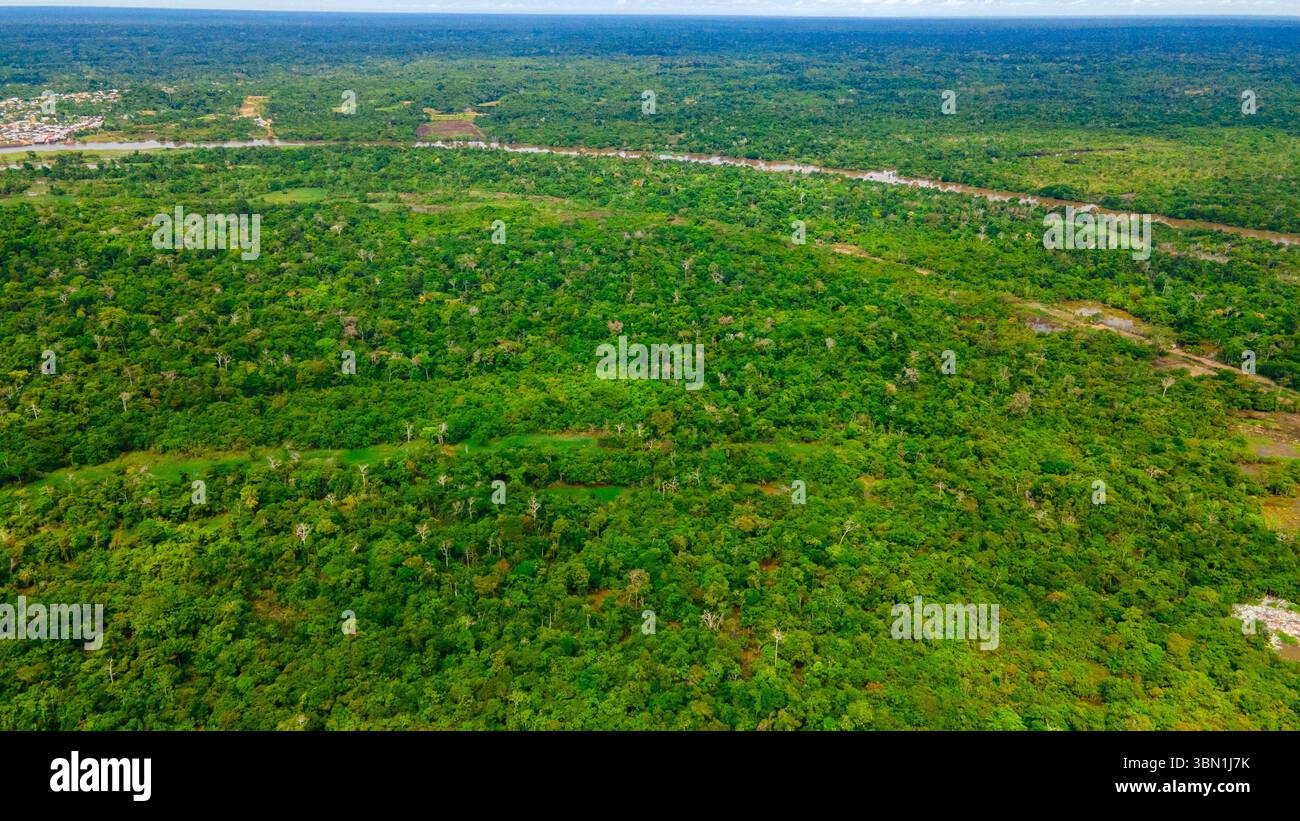 Stunning aerial view of the lush Amazon rainforest near Leticia ...