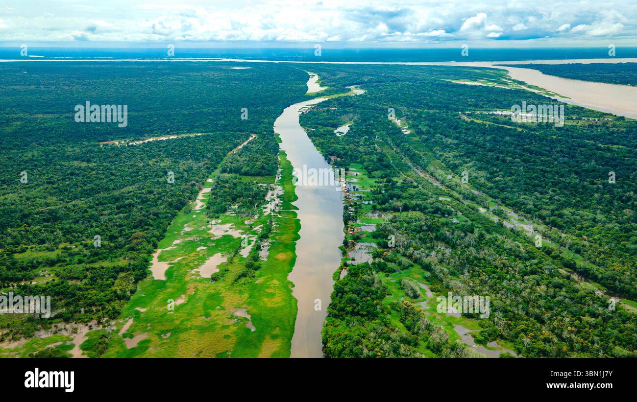 Stunning aerial view of the Amazon River meandering through lush green ...