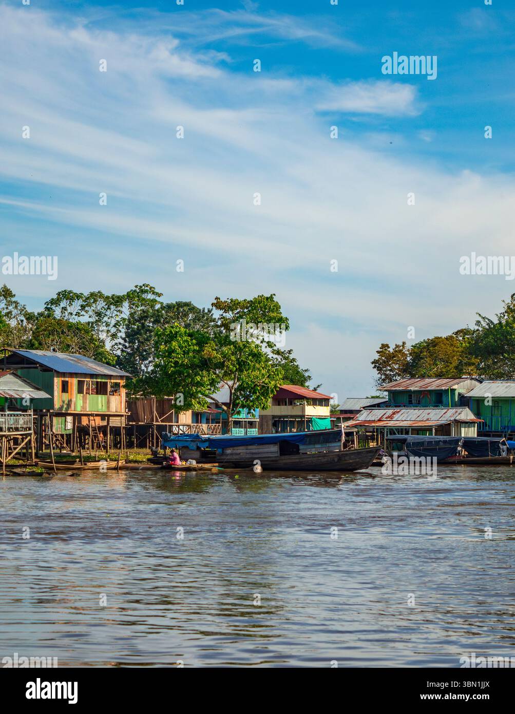 A scenic view of riverside homes in Leticia, Amazonas, showcasing ...