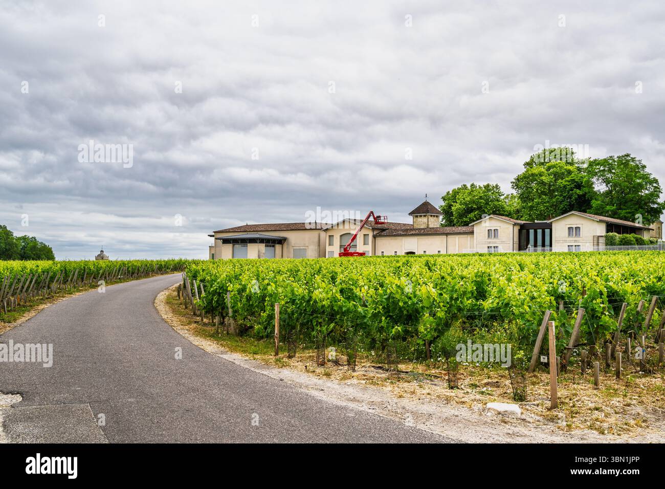 Chateau Pichon Baron Vineyard and grape fields around Pauillac ...