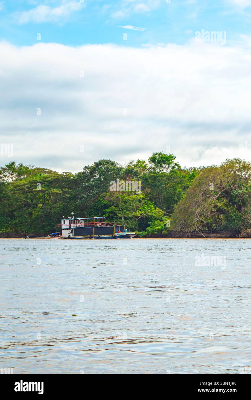 A scenic view of a boat navigating through the Amazon River surrounded ...