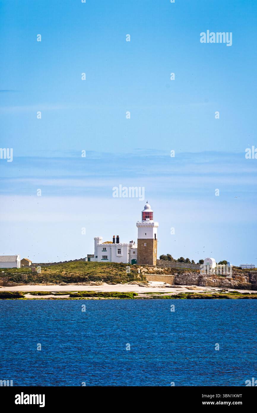 Coquet Island Lighthouse and nature reserve, Northumberland June 2025 ...