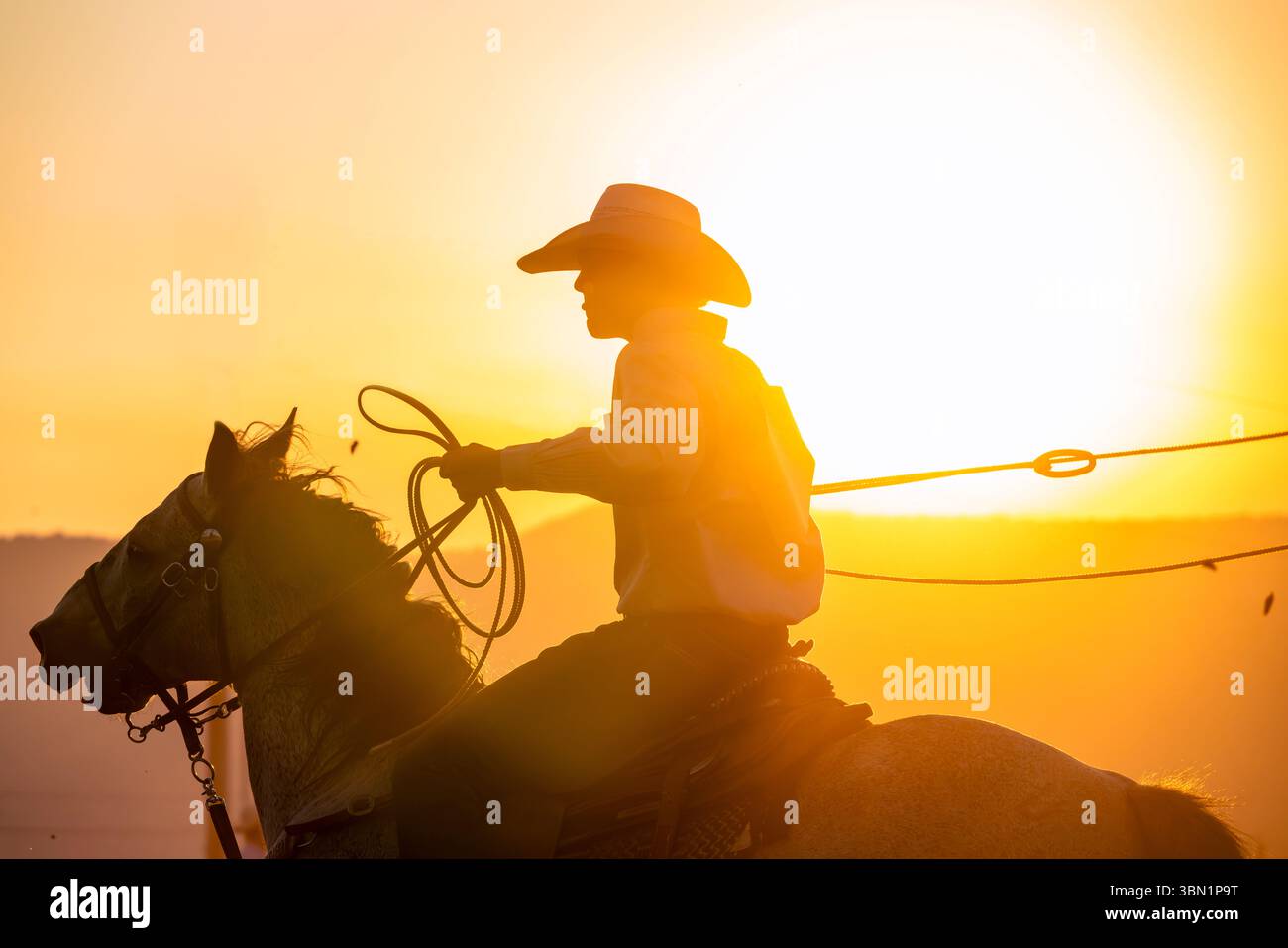 A cowboy on horseback casts his lasso against the backdrop of a glowing ...