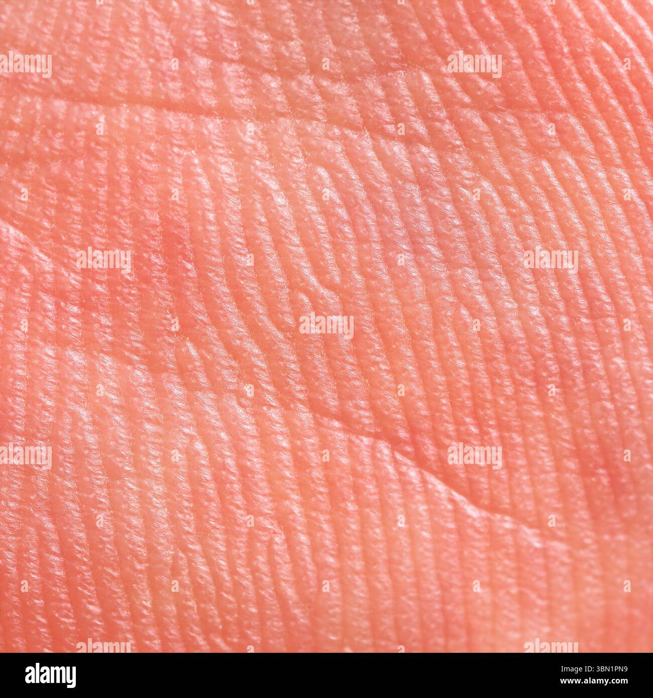 Fingerprint pattern clear lines hi-res stock photography and images - Alamy