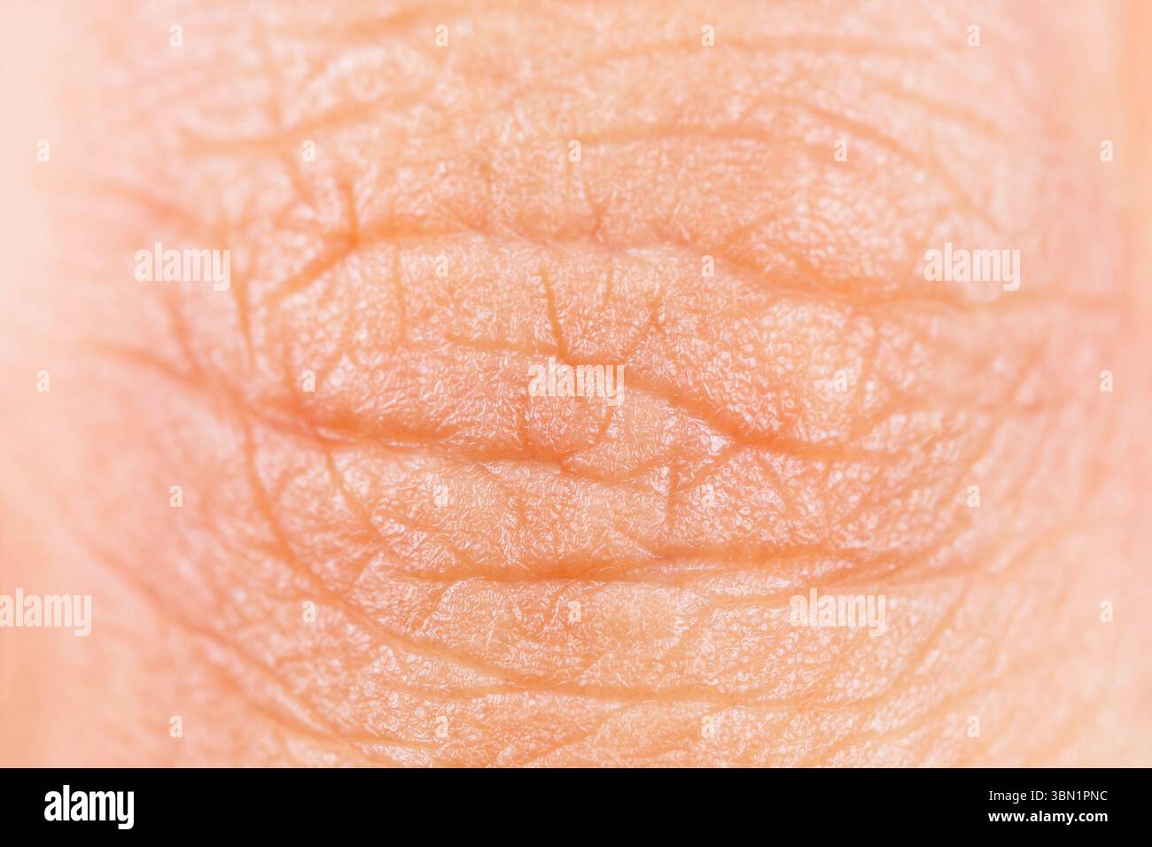 It is Finger skin texture Stock Photo - Alamy