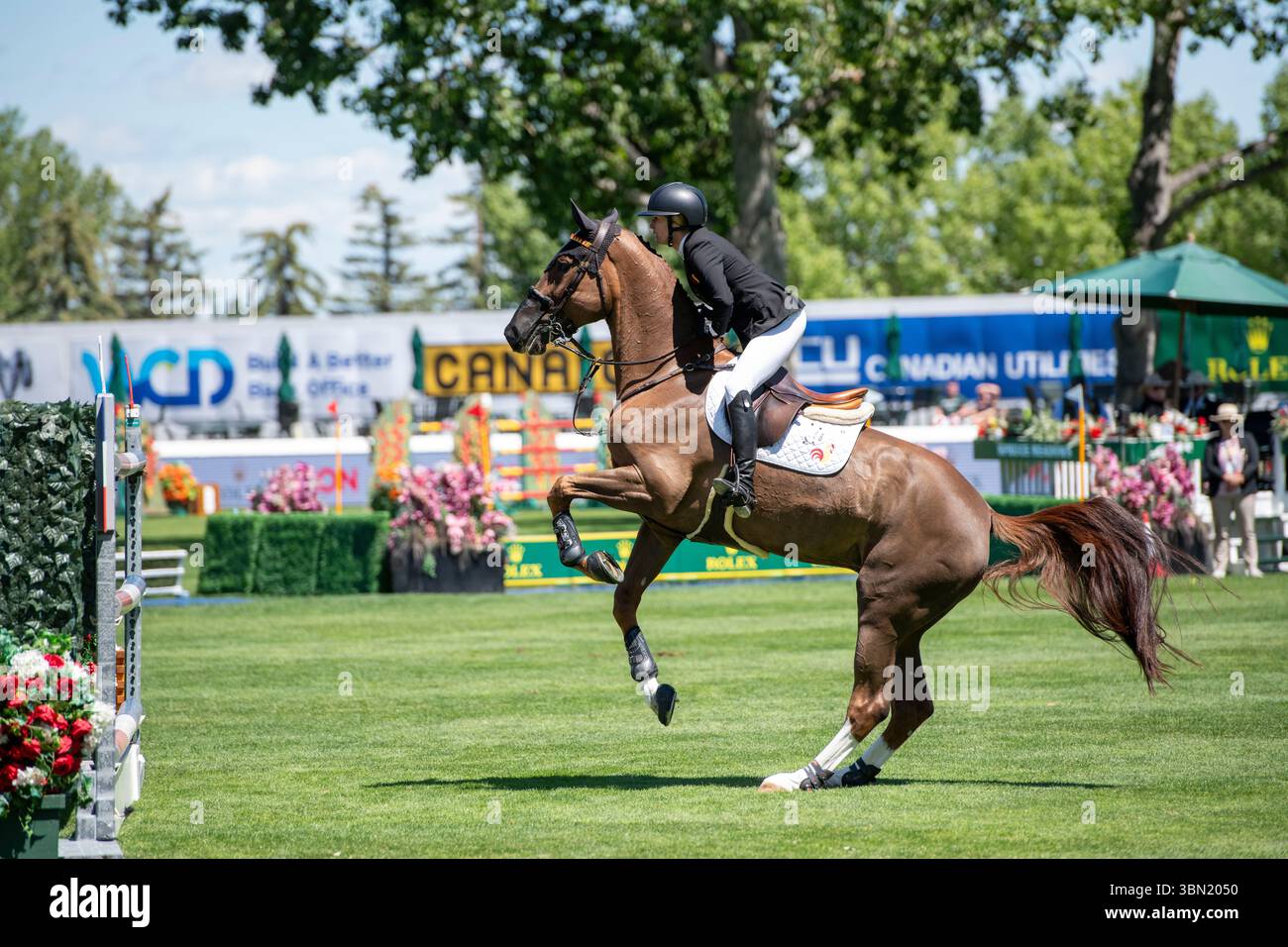 Calgary, Alberta, Canada, 29 June 2025. Jose Elena A. Haas (USA) riding ...