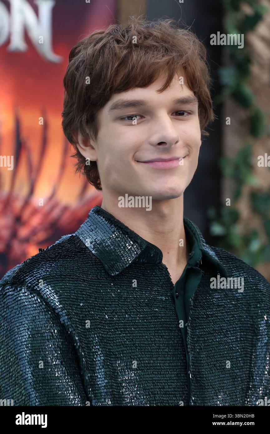 LOS ANGELES - JUN 7: Mason Thames at the How To Train Your Dragon LA ...