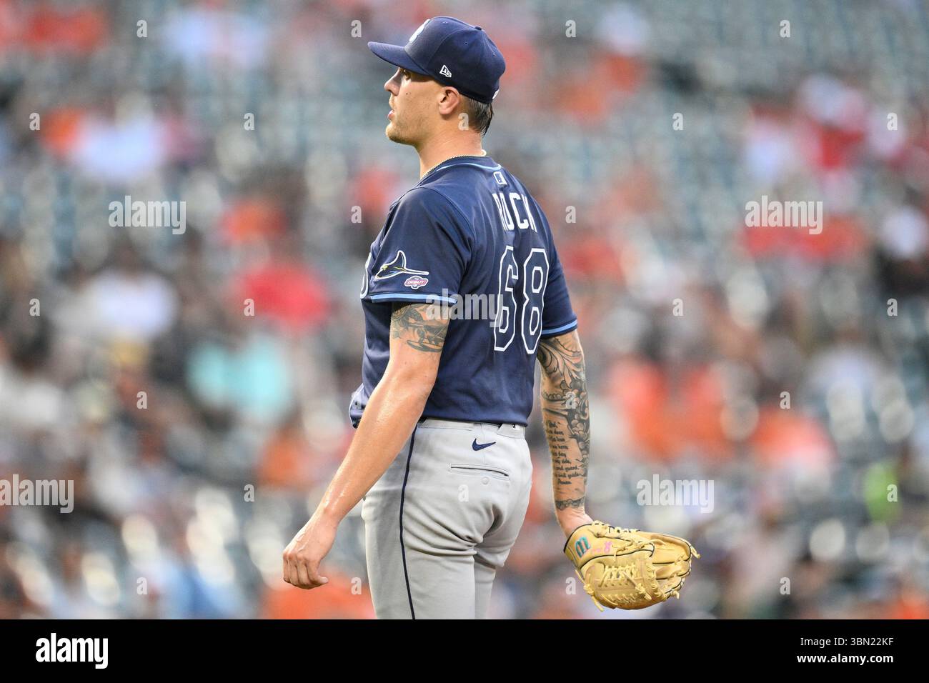 Tampa Bay Rays relief pitcher Joe Rock (68) in action during a baseball ...