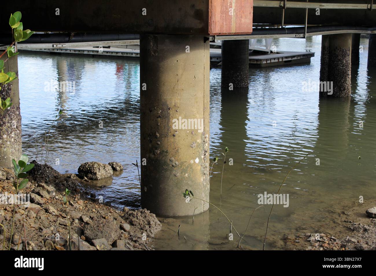 Concrete bridge pier post standing in calm ocean water Stock Photo - Alamy