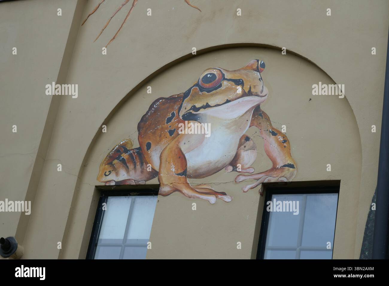 London, England 31st May 2025 Frog Mural at ZSL London Zoo in RegentÕs ...