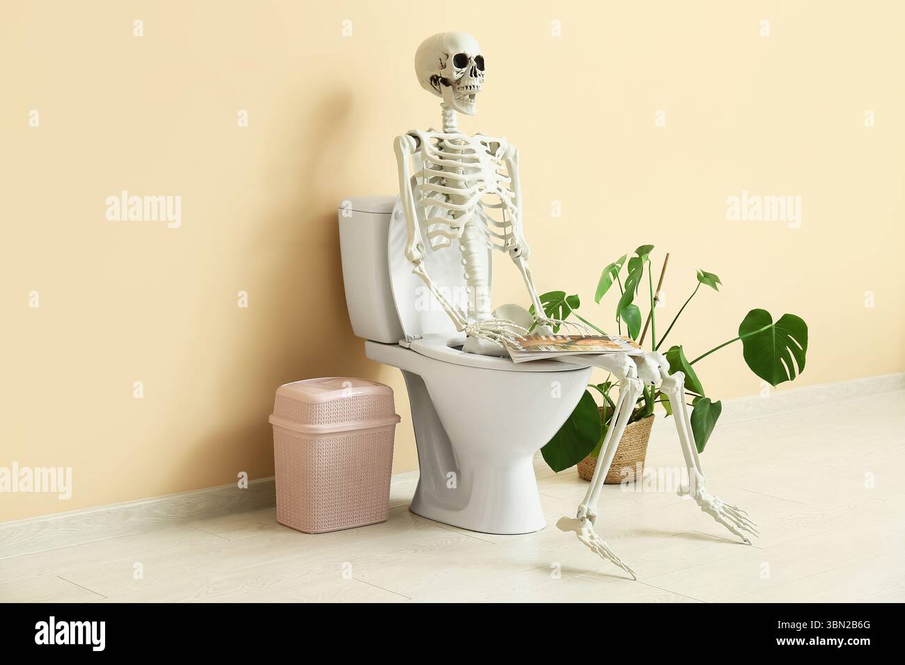 Human skeleton with magazine sitting on toilet bowl in restroom Stock ...