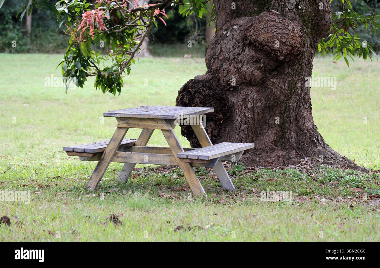 Picnic table and chairs under a tree in a garden Stock Photo - Alamy