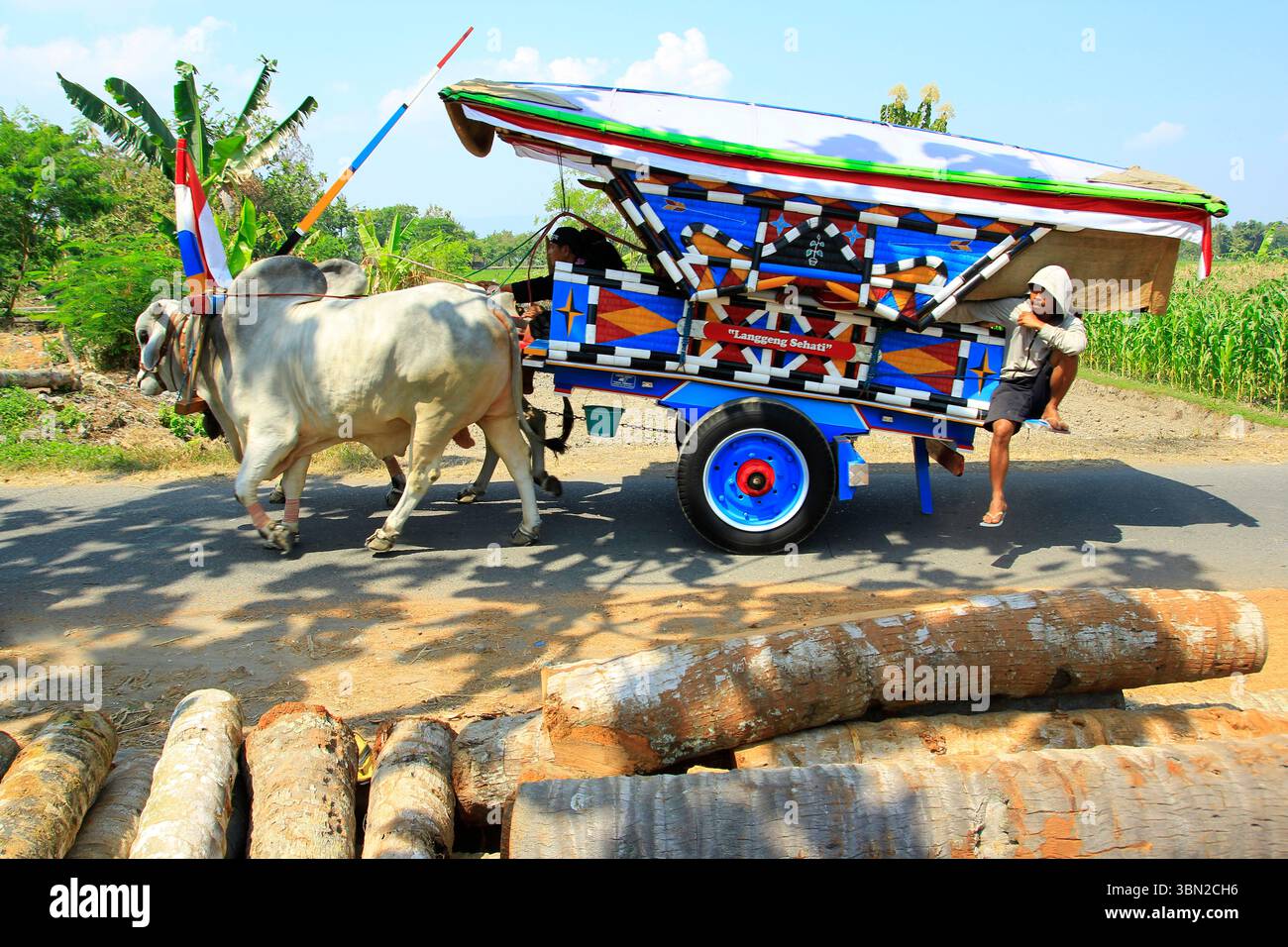 Traditional transportation, ox carts passing through rural roads Stock ...