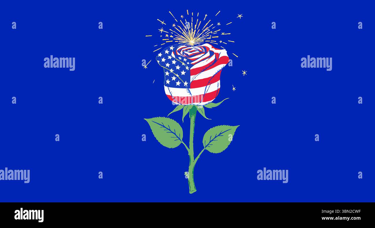 A patriotic rose with petals resembling the american flag bursts with ...