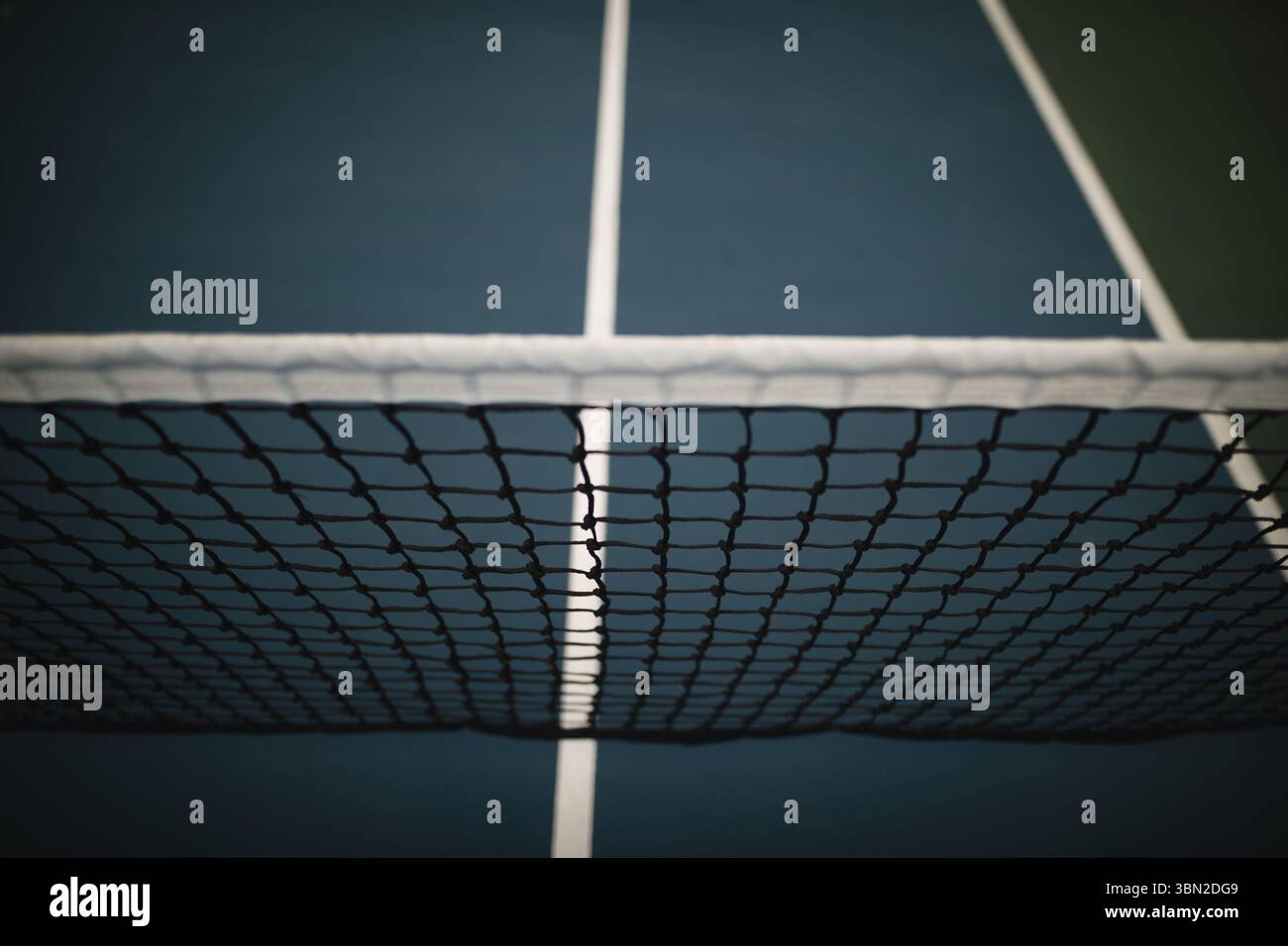 Close up showing blue tennis hi-res stock photography and images - Alamy