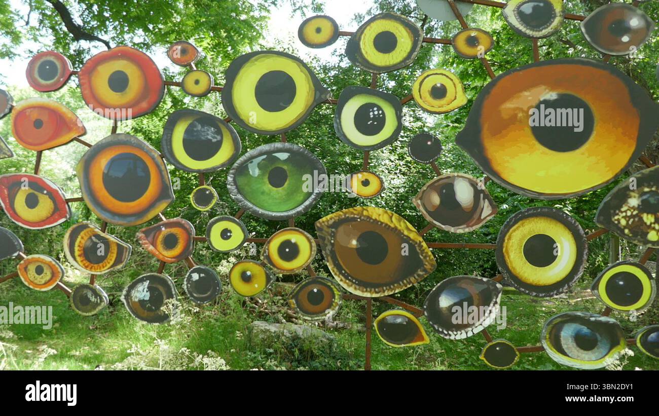 London, England 31st May 2025 Birds Watching Display Birds Eyes ...
