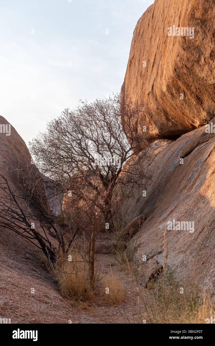 A relatively green desert landscape near Spitzkoppe, a famous landmark ...