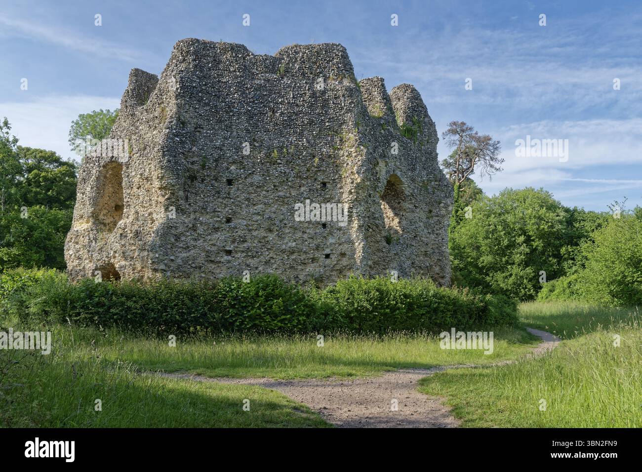 Odiham Castle, also known as King John's Castle, is a ruined castle ...