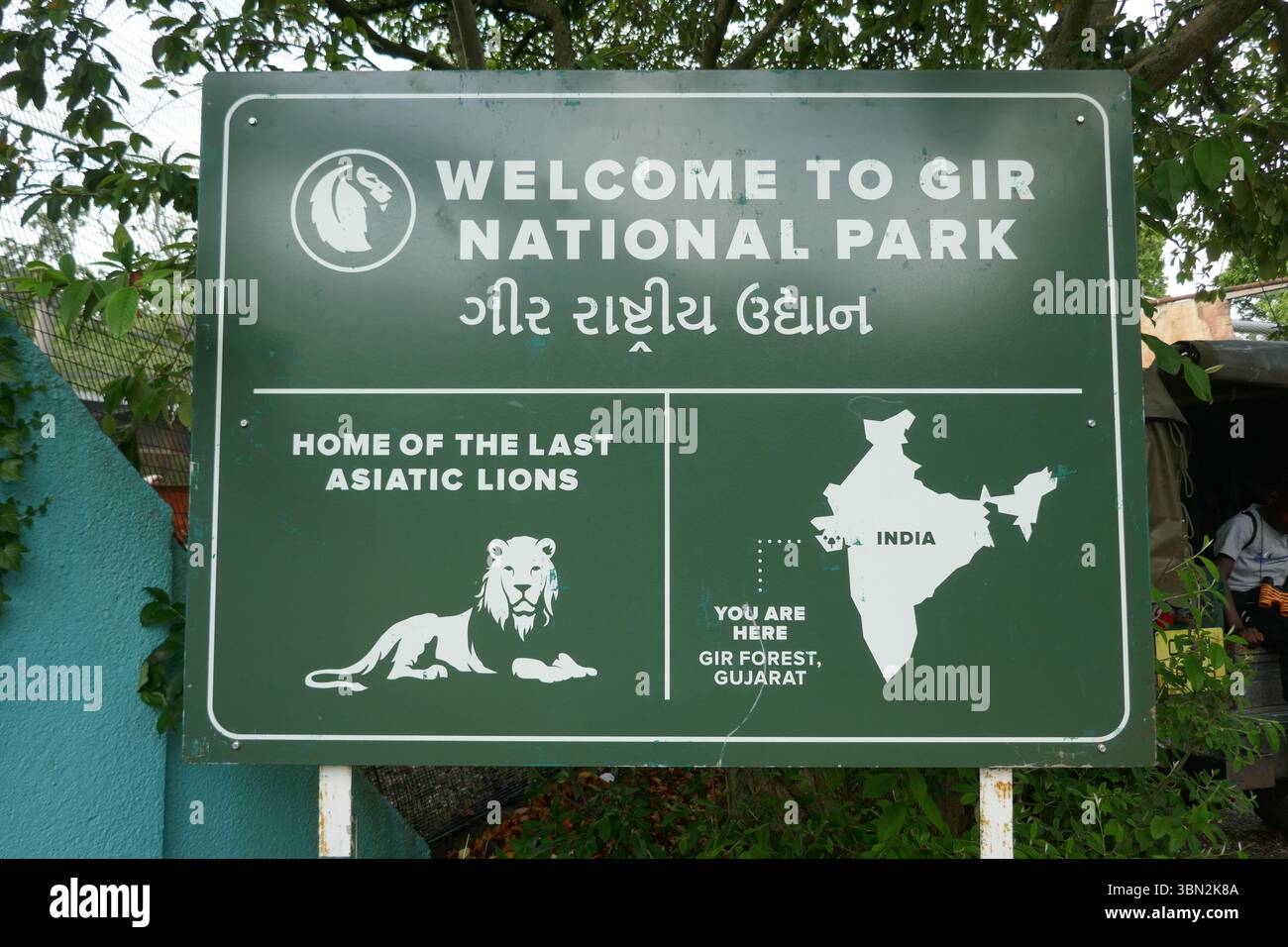 London, England 31st May 2025 Land of the Lions at ZSL London Zoo in RegentÕs Park on May 31 ...