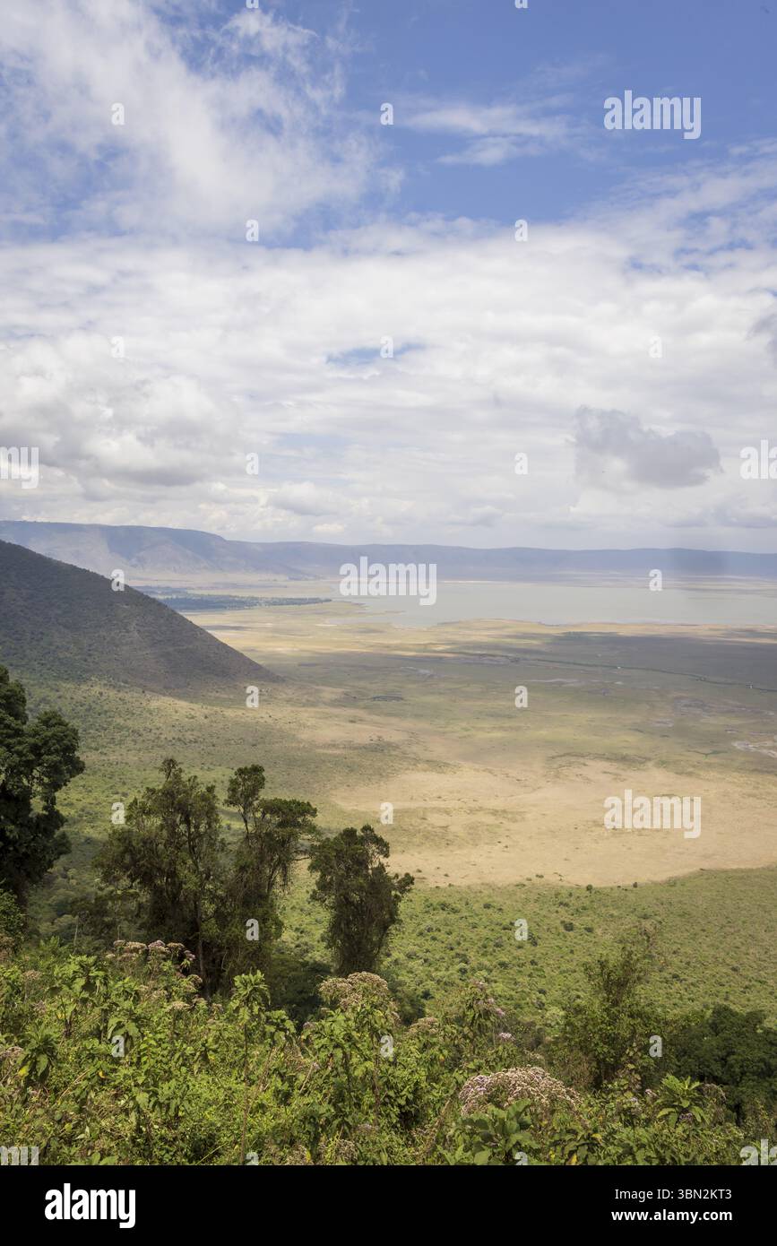 Panoramic view of Ngorongoro Crater in Tanzania East Africa Stock Photo ...