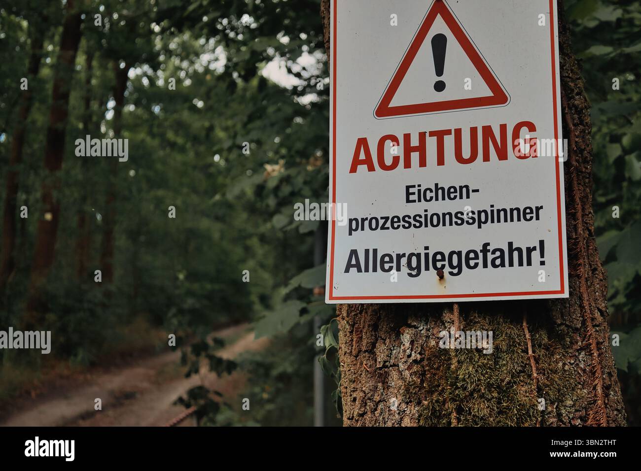 warning sign oak processionary moth warnung vor ...