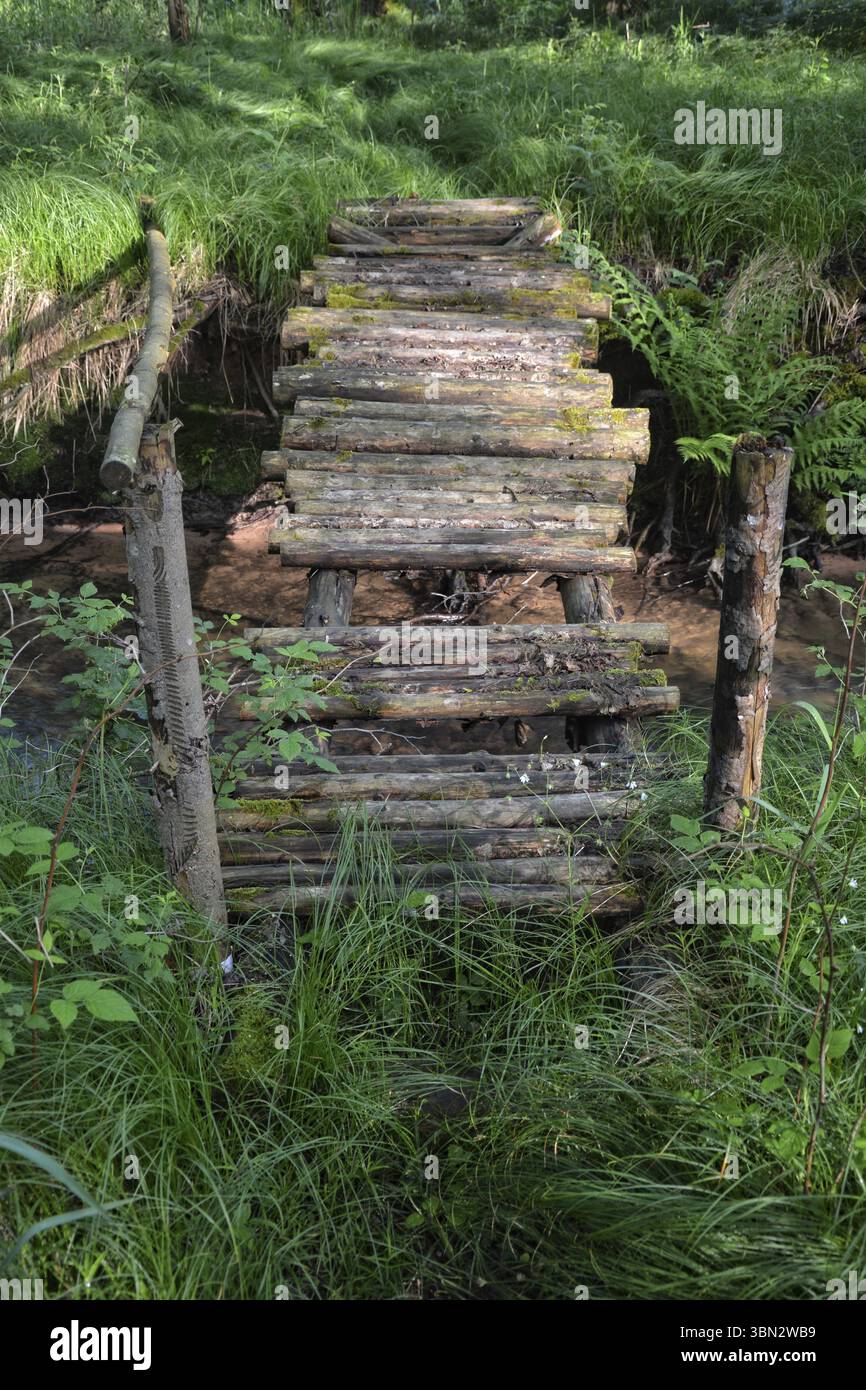 Rotten bridge hi-res stock photography and images - Alamy