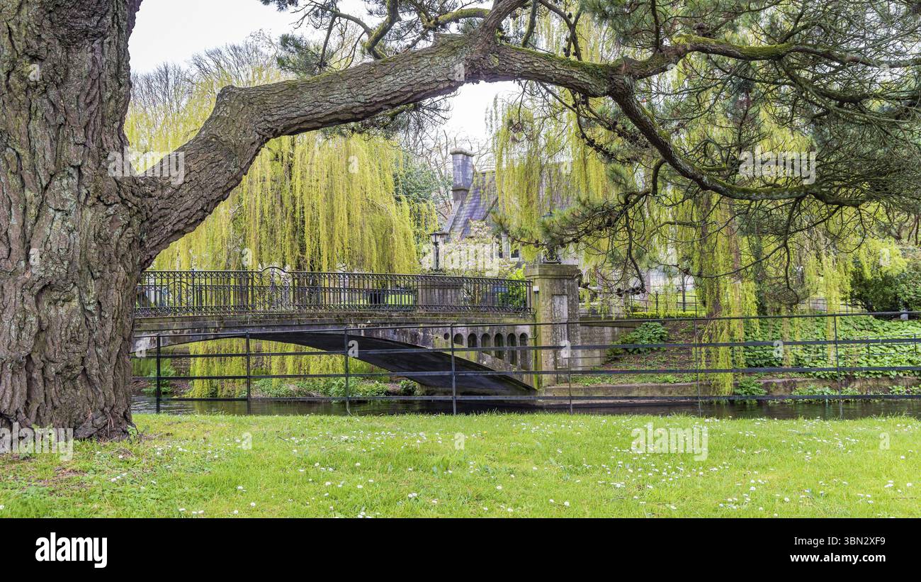 Cork university college lee hi-res stock photography and images - Alamy