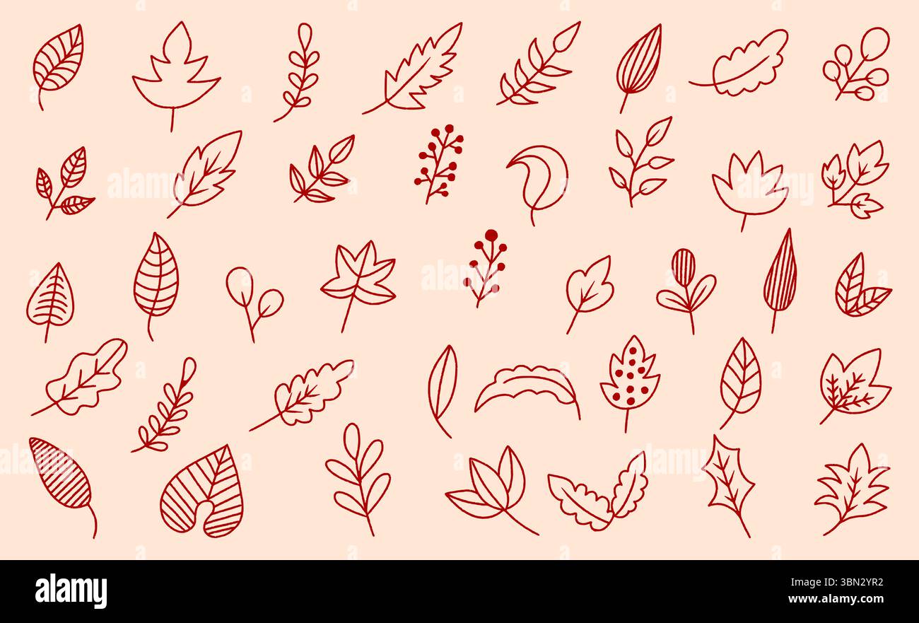 Hand drawn Leaves collection in doodle style, Set of leaves decorative ...
