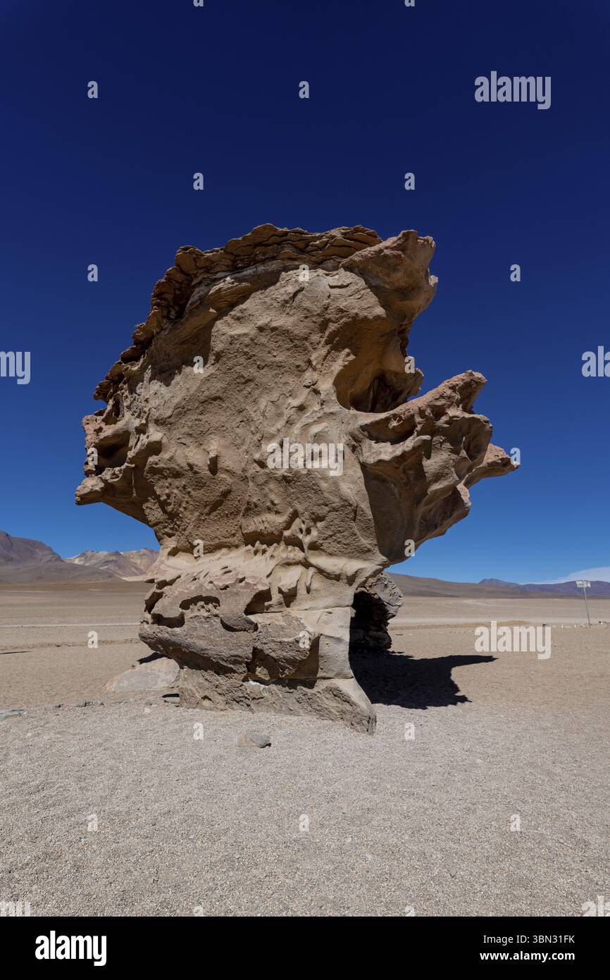 Stone tree in the bolivian altiplano Stock Photo - Alamy