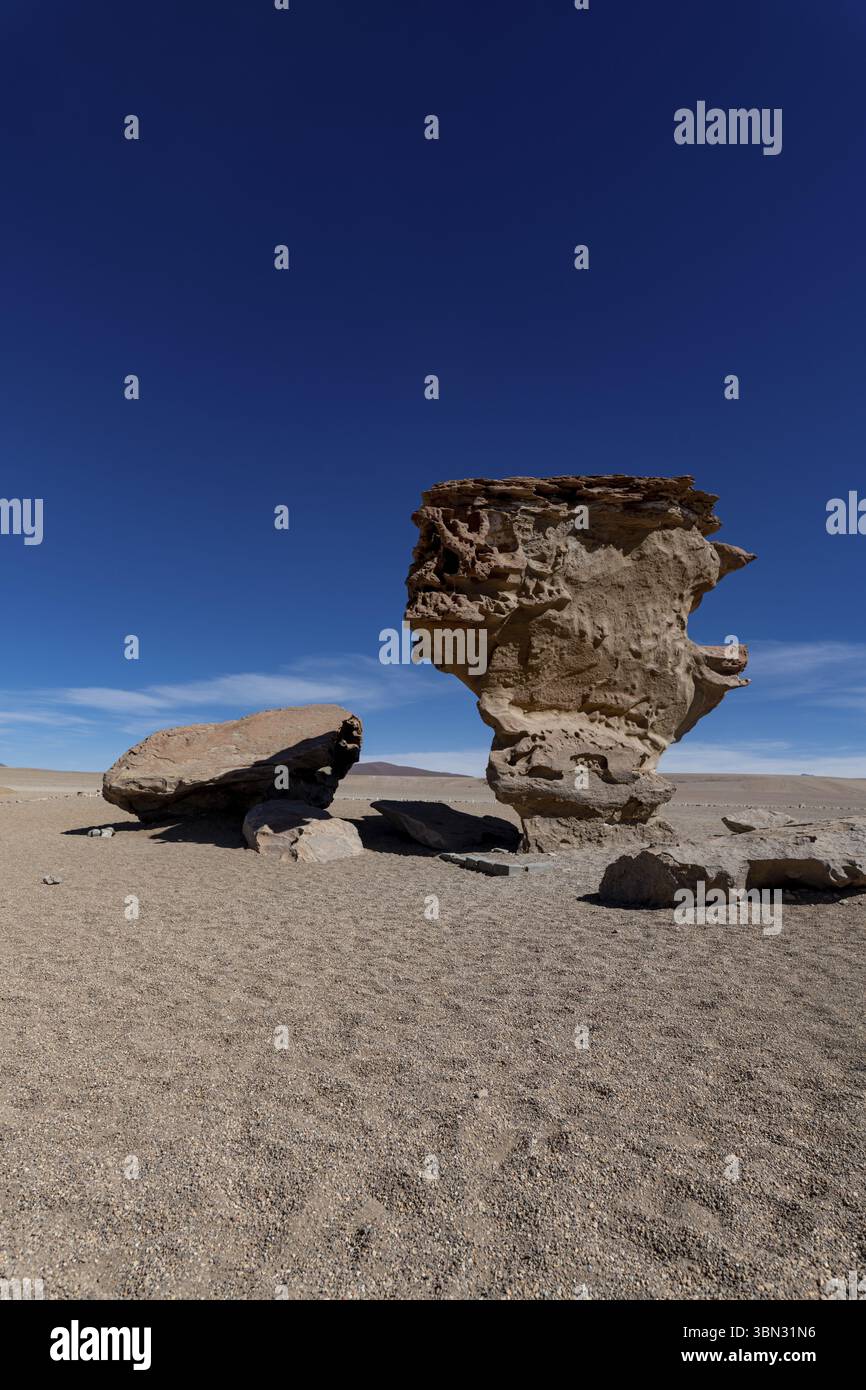 Stone tree in the bolivian altiplano Stock Photo - Alamy