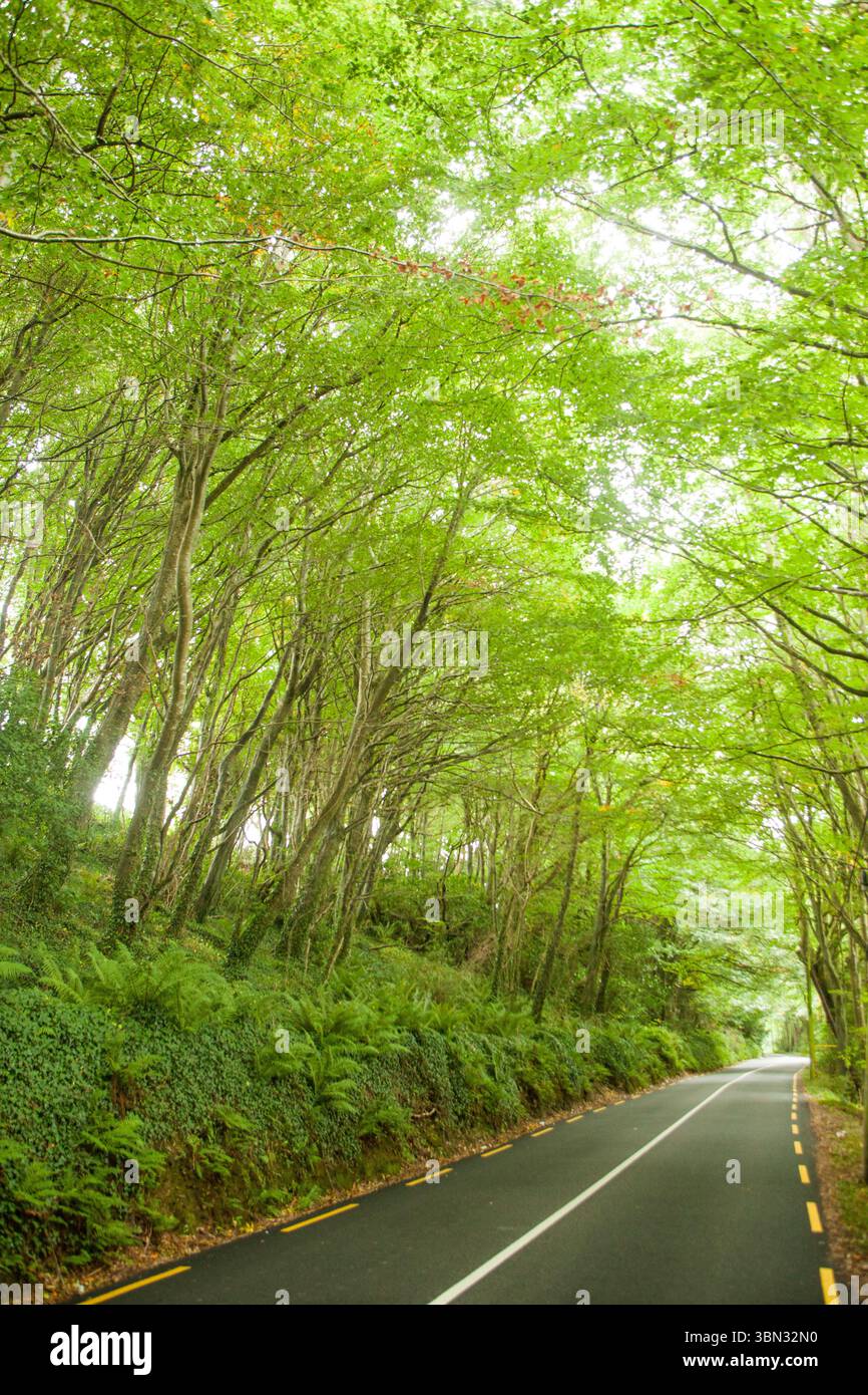 Cutting paved asphalt road hi-res stock photography and images - Alamy