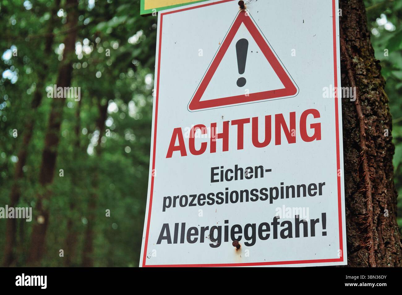 warning sign oak processionary moth warnung vor eichenprozessionsspinner Stock Photo - Alamy